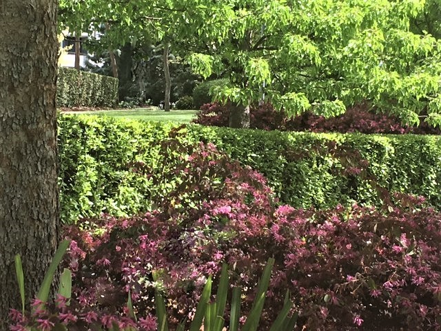 Landmark Apartments | For Landmark Apartments owners and residents.